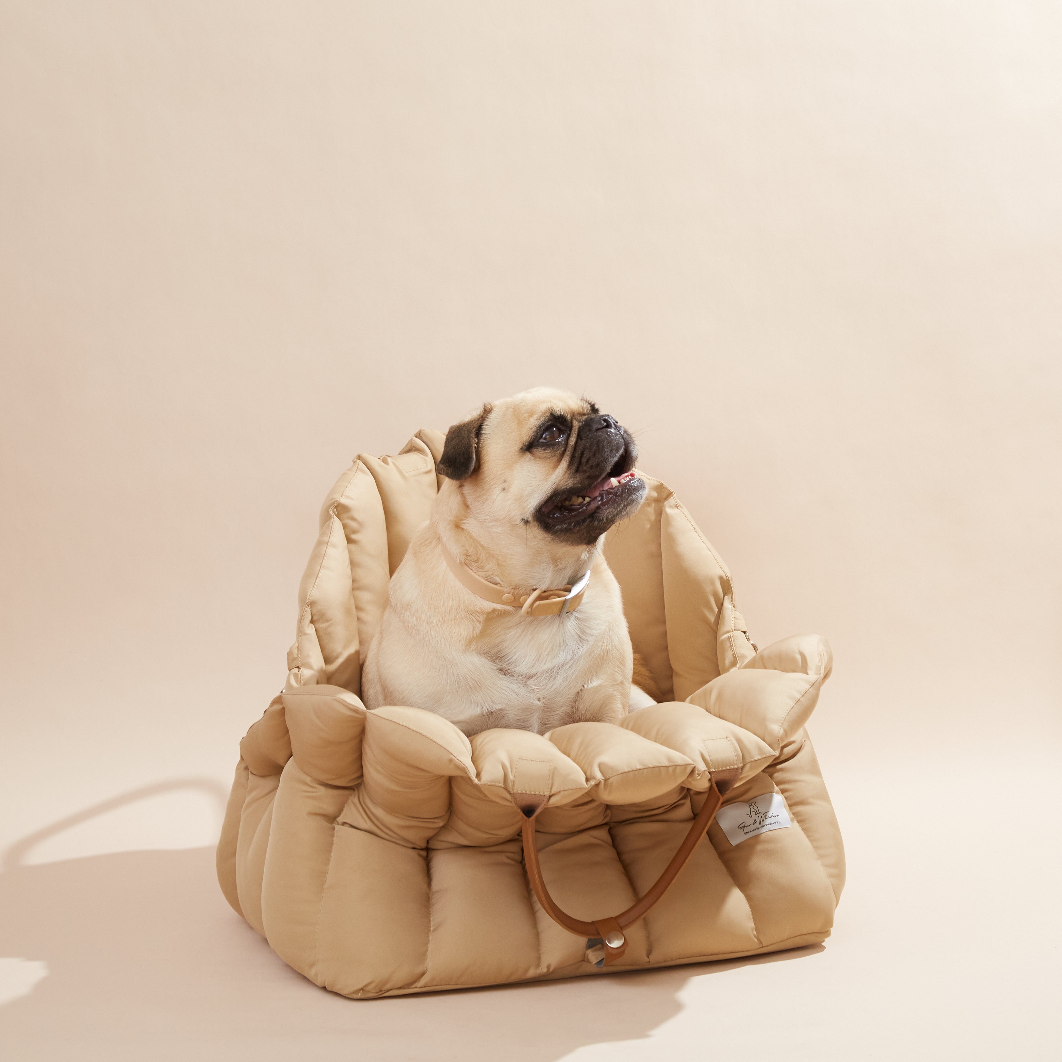 The Ultimate 3-in-1 Pet Carrier Bag: A Must-Have for Every Pet Parent ...
